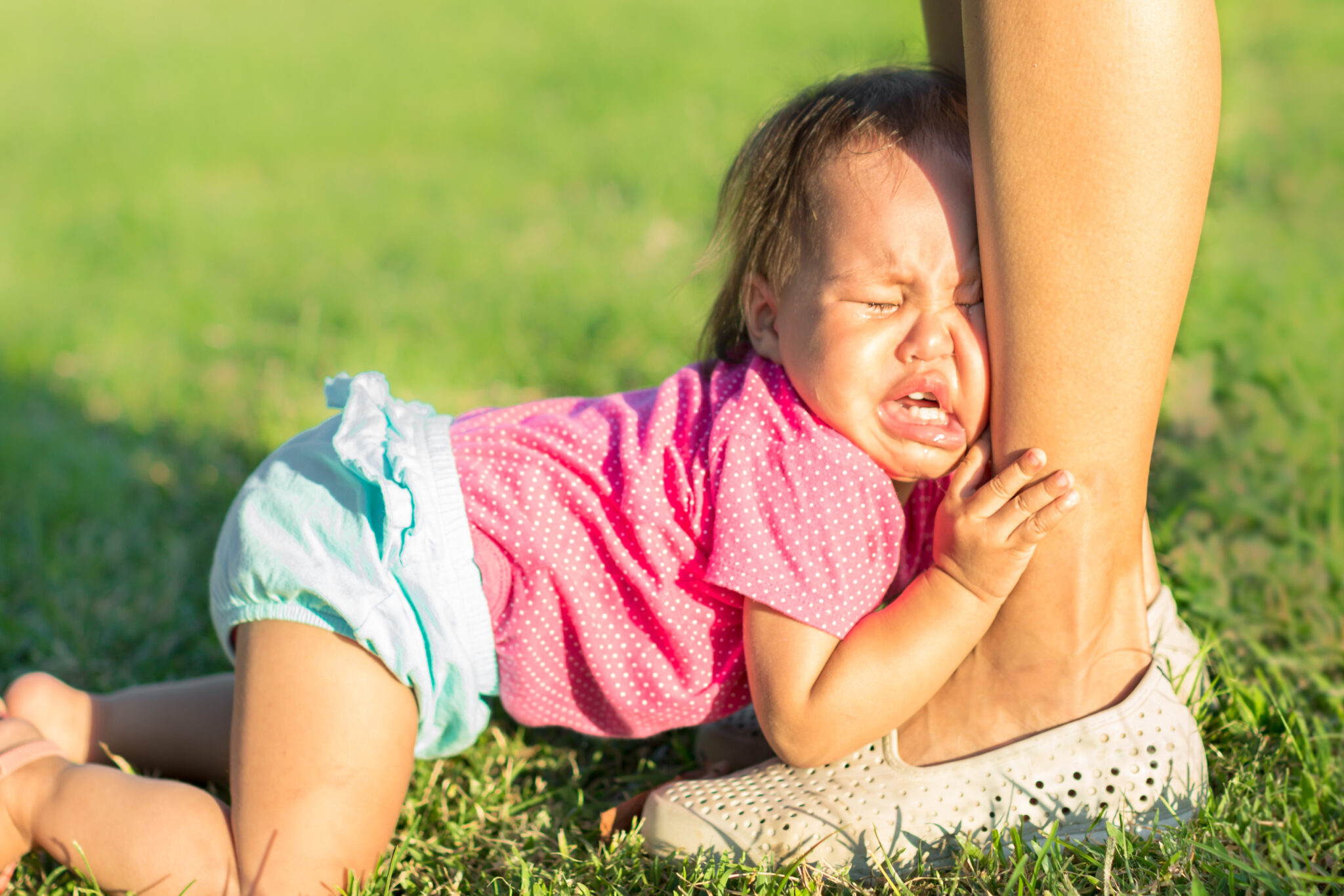 Helping Your Child Learn Self Regulation Skills Hala Kahiki helping-your-child-learn-self-regulation-skills-hala-kahiki